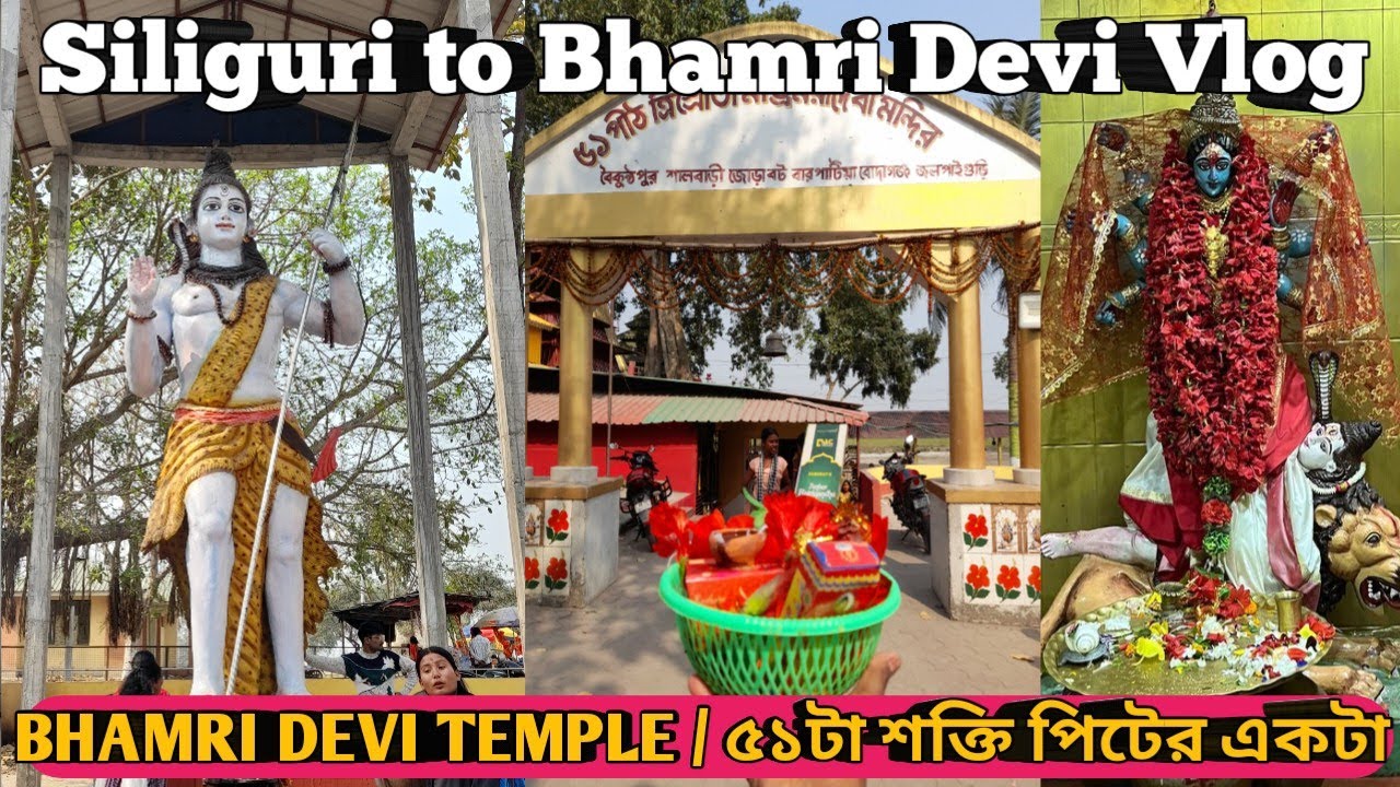 BHAMRI DEVI TEMPLE 🙏 || Vamri Devi Mandir || 51 sati pith #siliguri # ...