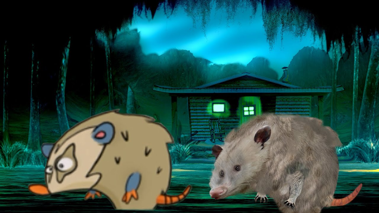 Swamp Attack Gameplay Awesome possum - YouTube