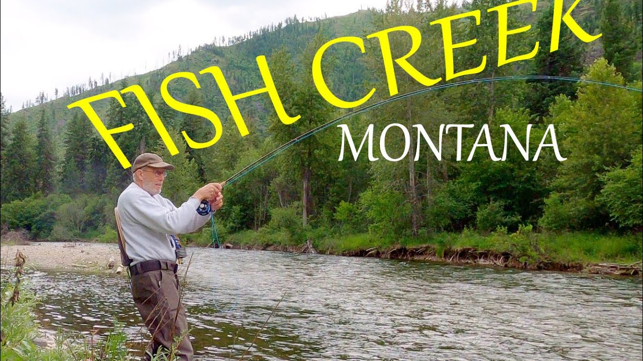 fly fishing on fish creek and camping on the Clark Fork river ...
