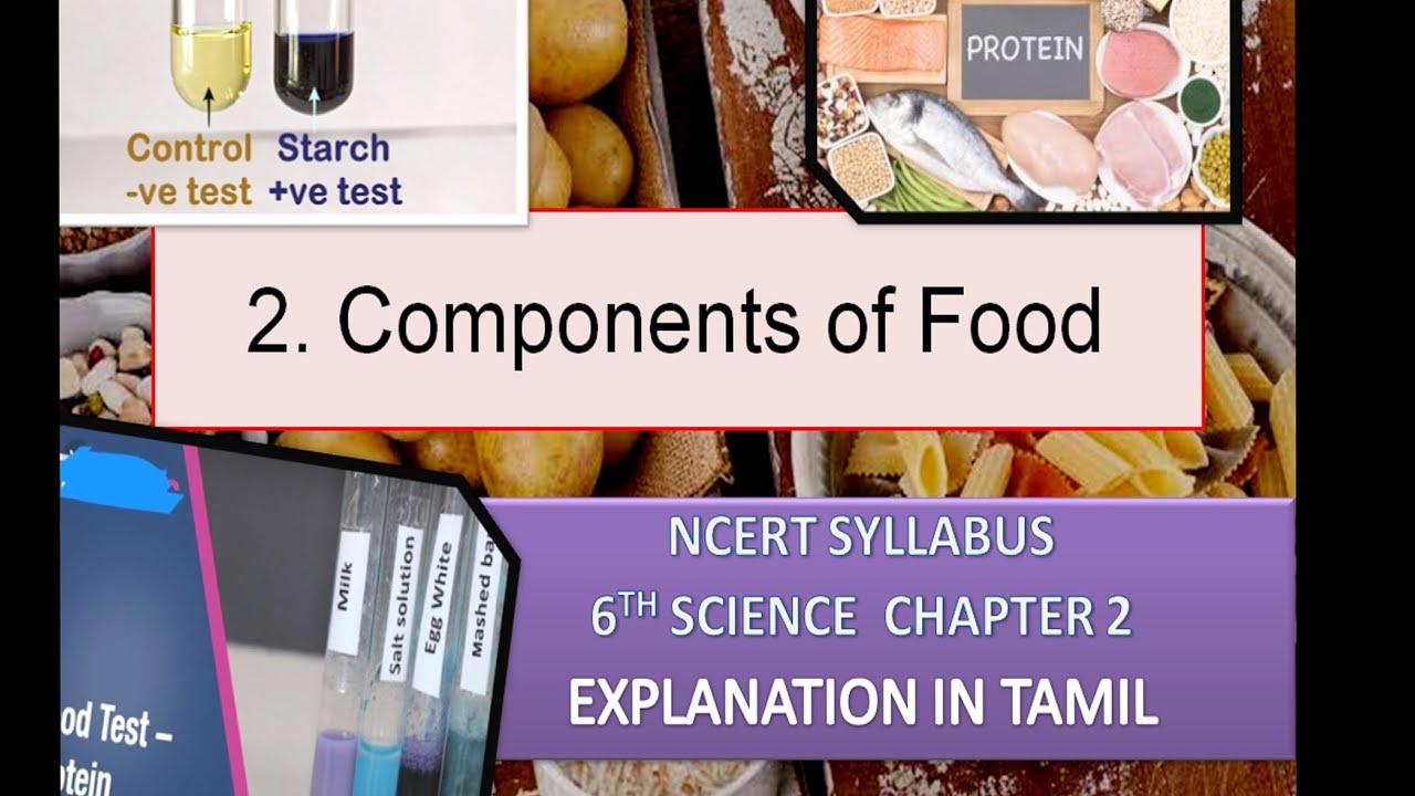 CBSE SYLLABUS : 6th Science subject chapter 2 (Components of Food 🍲 ...