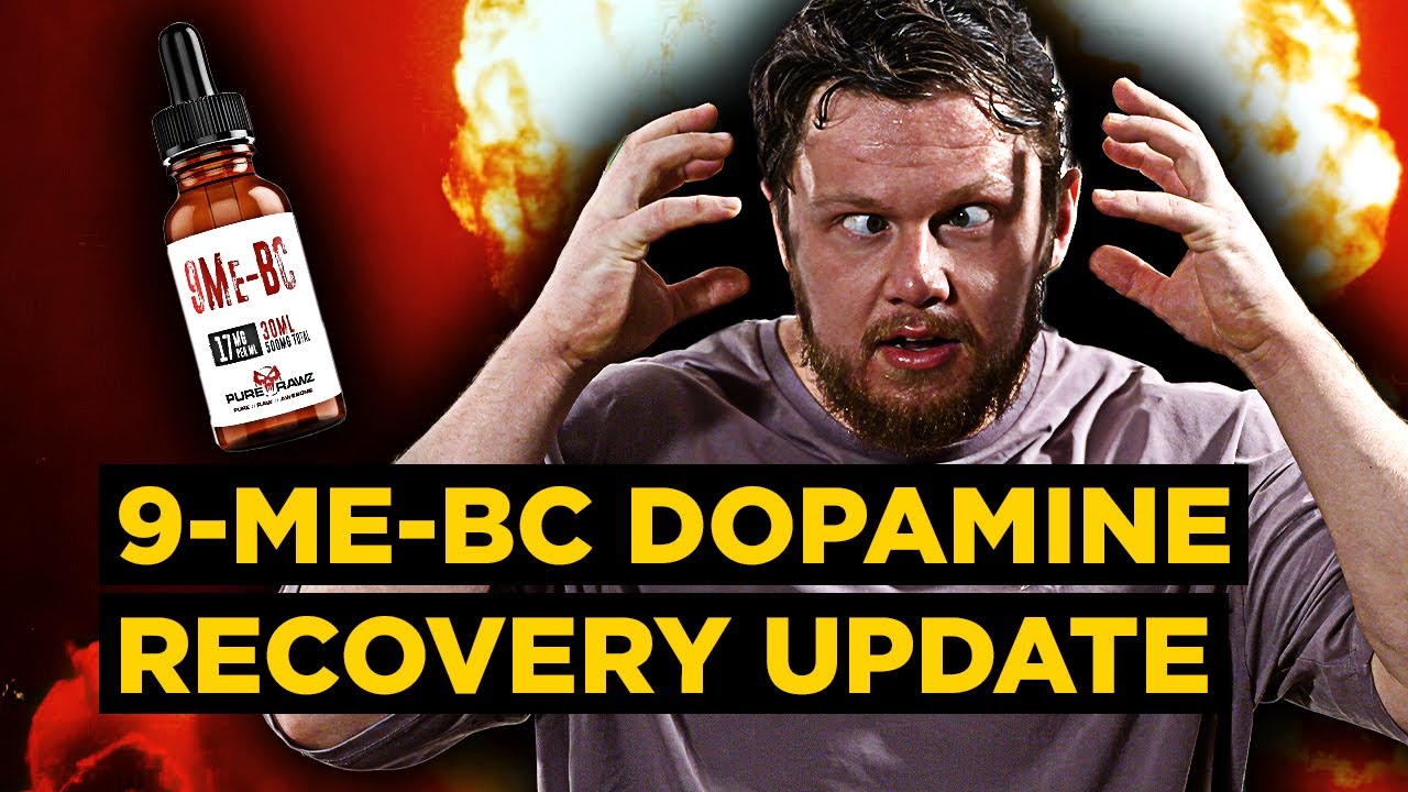 REPAIRING my DOPAMINE System w/ Nootropics | Is 9-Me-BC a MIRACLE Drug ...