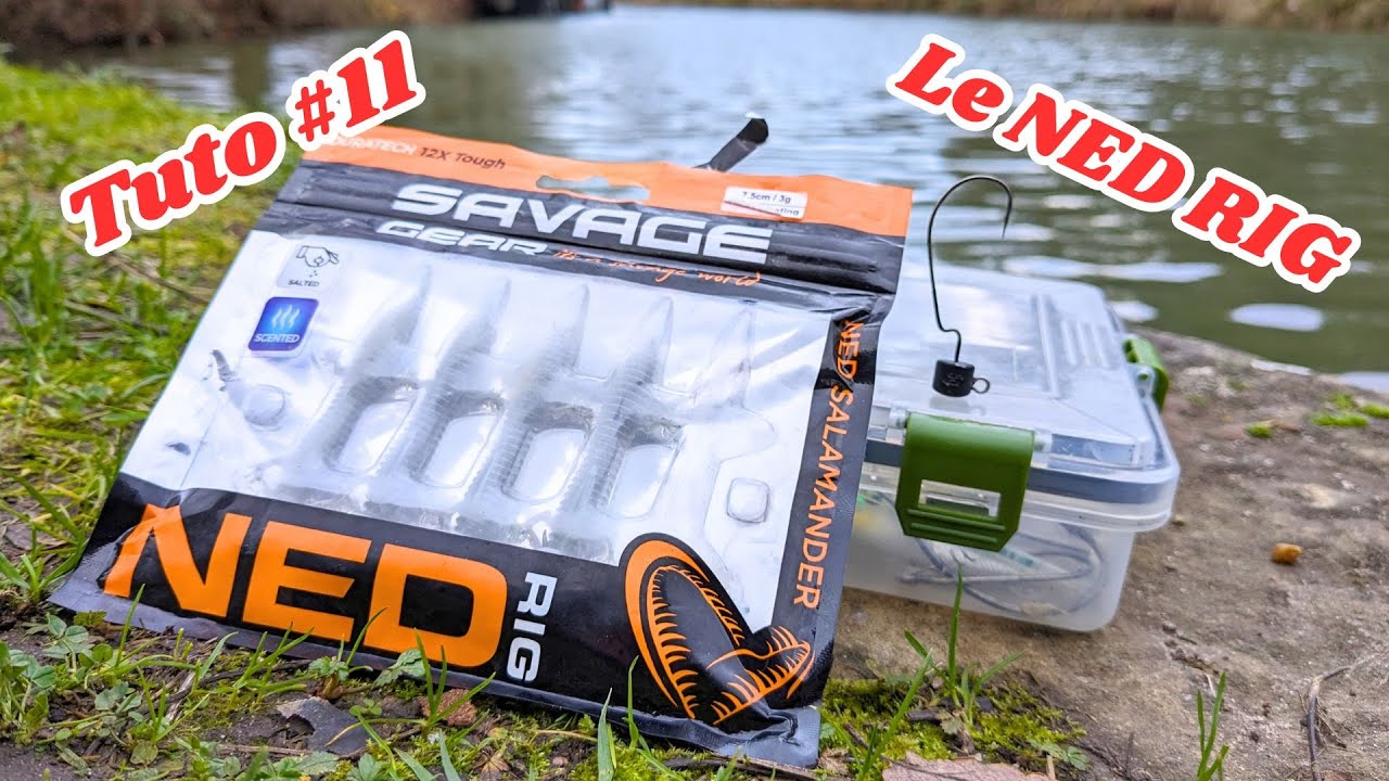 Tuto #11: Comment (bien) PECHER au NED RIG (une TECHNIQUE FINESSE ...