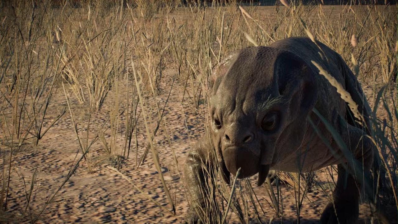 JWE2 - A Desert Story - YouTube