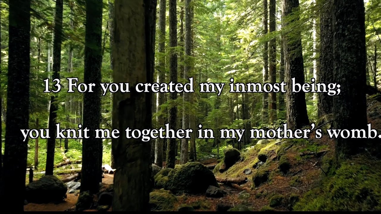 Psalm 139 NIV Translation YouTube