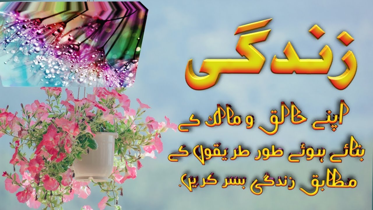 Life The Secret Of Health And Peace In Human Life Zindagi Kamyab life-the-secret-of-health-and-peace-in-human-life-zindagi-kamyab
