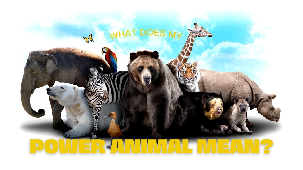 What Does my Power Animal Mean? Shaman's Tent - YouTube