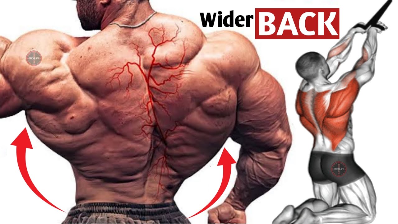 6 Exercise Back Workouts For Building Muscle Erorlife Fitbody Youtube