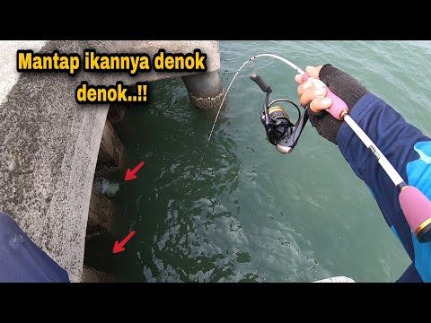 koplak..!! kalau tidak dilarang bisa setiap hari mancing disini