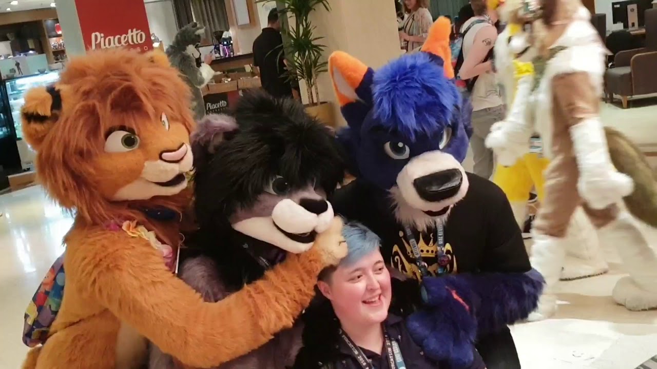 CONFUZZLED 2019 - YouTube