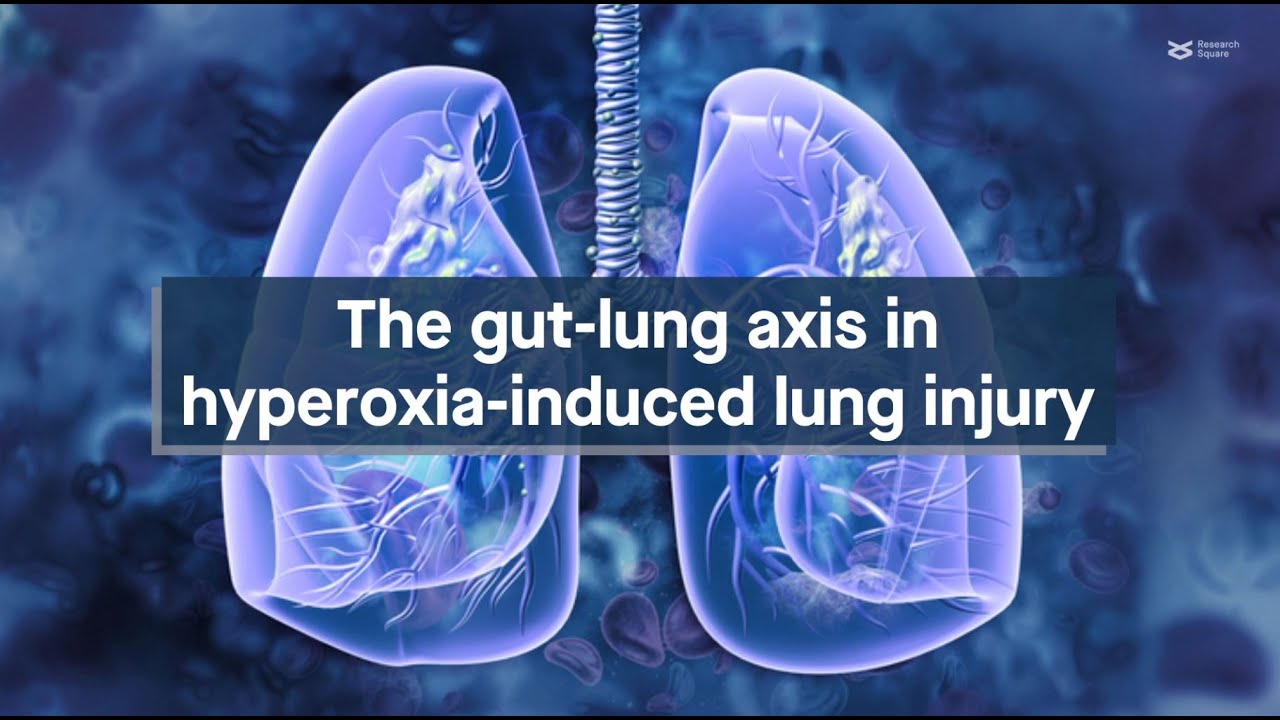 Uncovering the gut-lung axis in hyperoxia-induced lung injury - YouTube