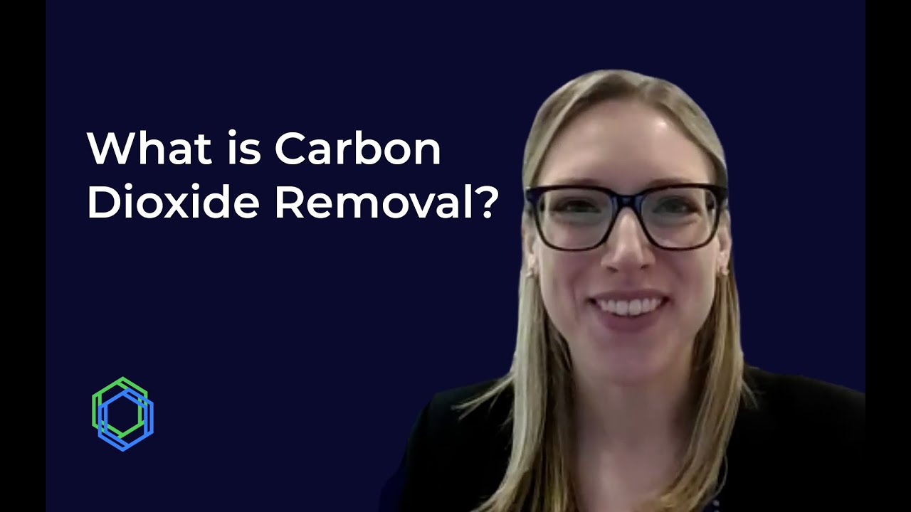 What is Carbon Dioxide Removal (CDR)? | Vault Forward | Climate Vault ...