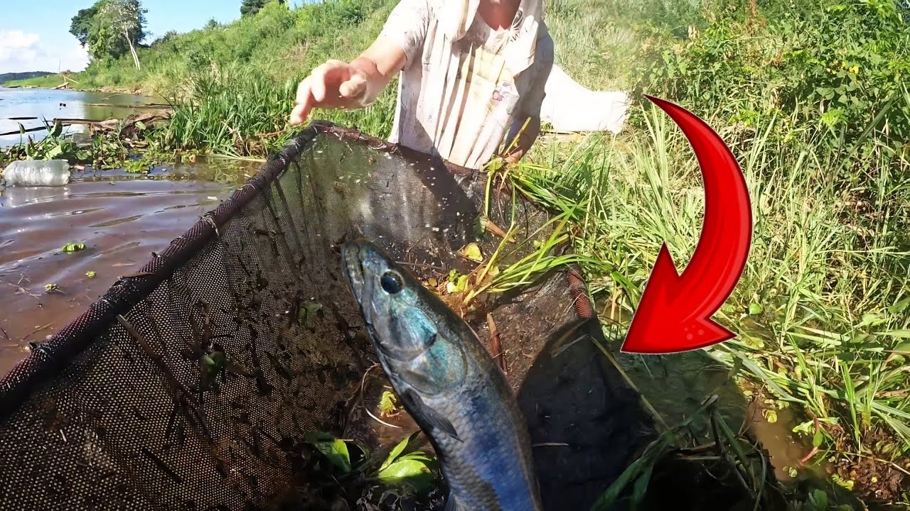 Pesca con Red Gigante ¨Atrapamos muchos Peces¨ - YouTube