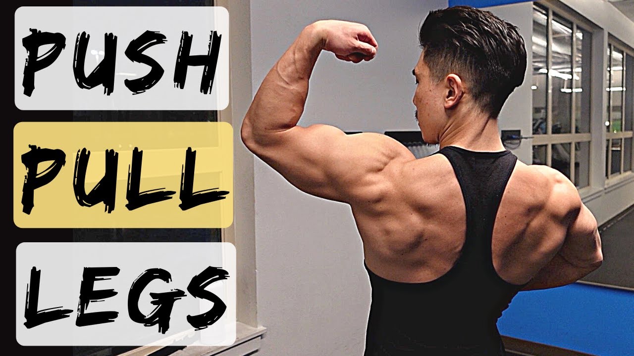 Push Pull Legs for Muscle Growth: My PULL DAY Routine - YouTube