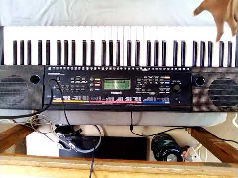 Keyboard tutorial for beginners STEP BY STEP part 2 - YouTube