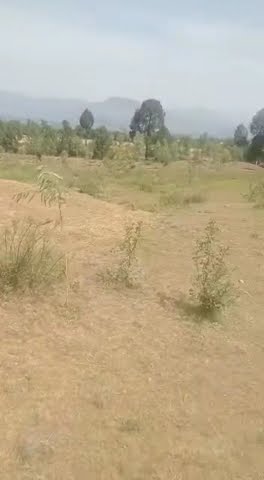 300Kanal land for sale 20lac pr kanal Mansehra|Beauty of mansehra ...