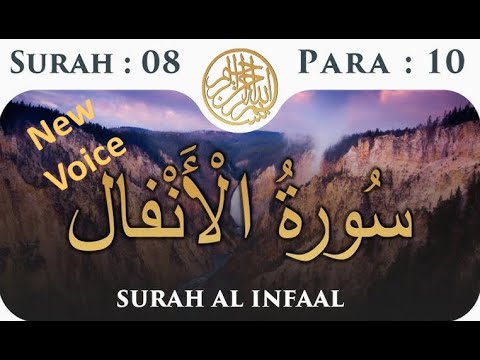 surah al anfal new voice | surah al anfal with urdu translation full ...