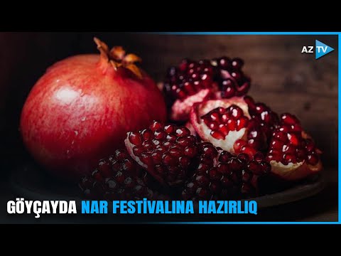 Göyçayda nar festivalına hazırlıq işləri davam edir
