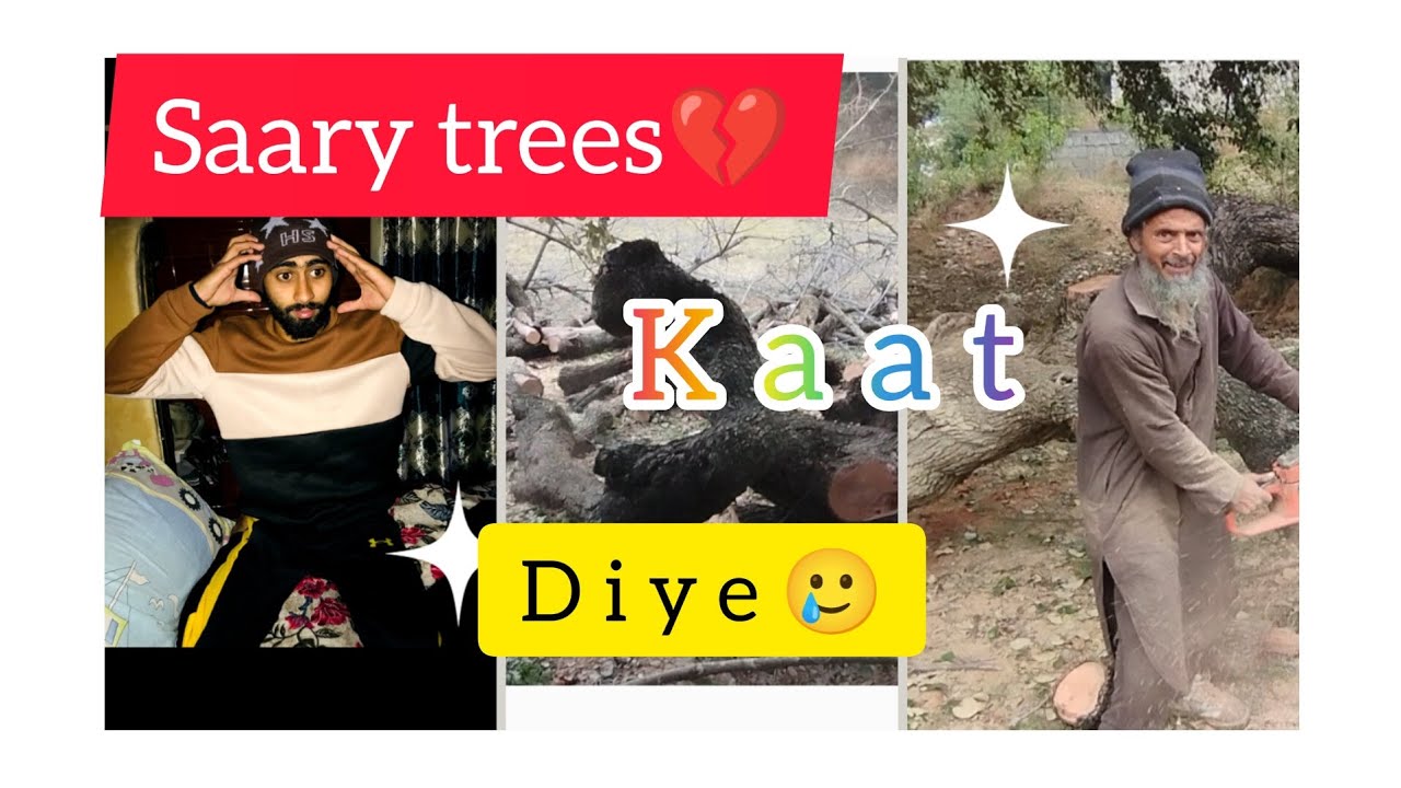 SARAY TREES KAAT DIYE🥲💔🌴🌳 - YouTube