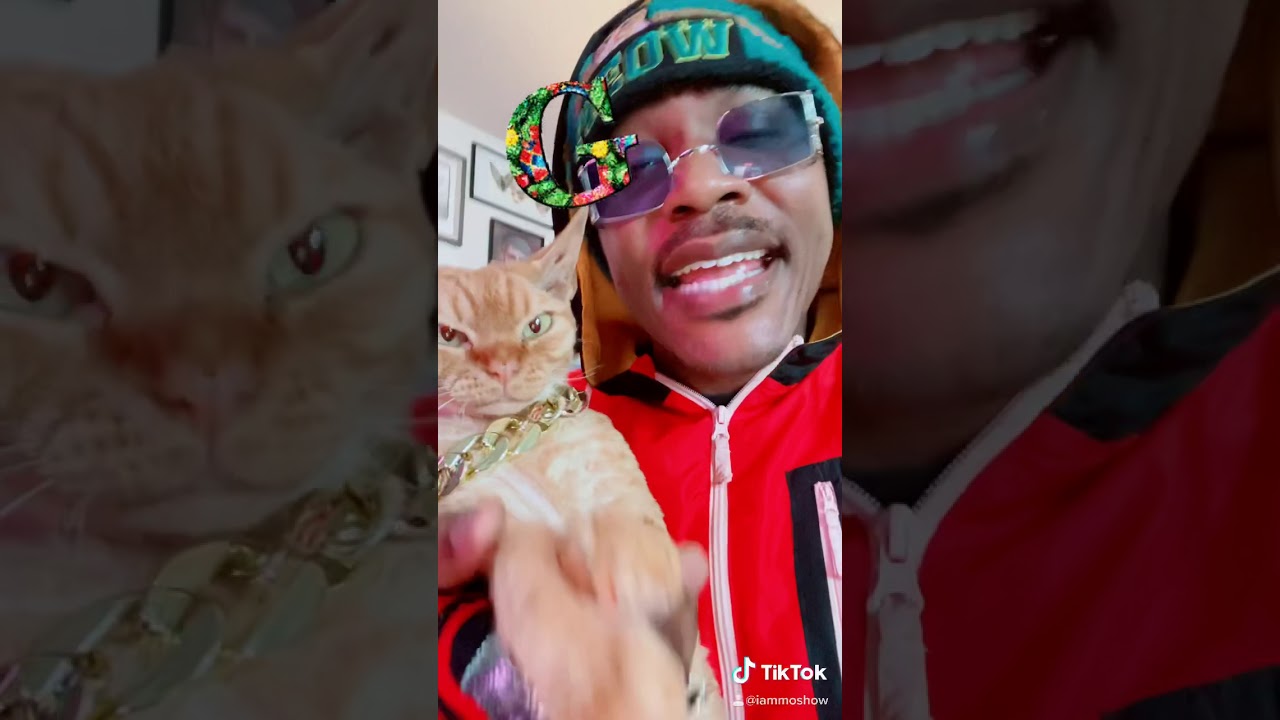 iAmMoshow & Dj Ravioli - Cat Barz freestyle - YouTube