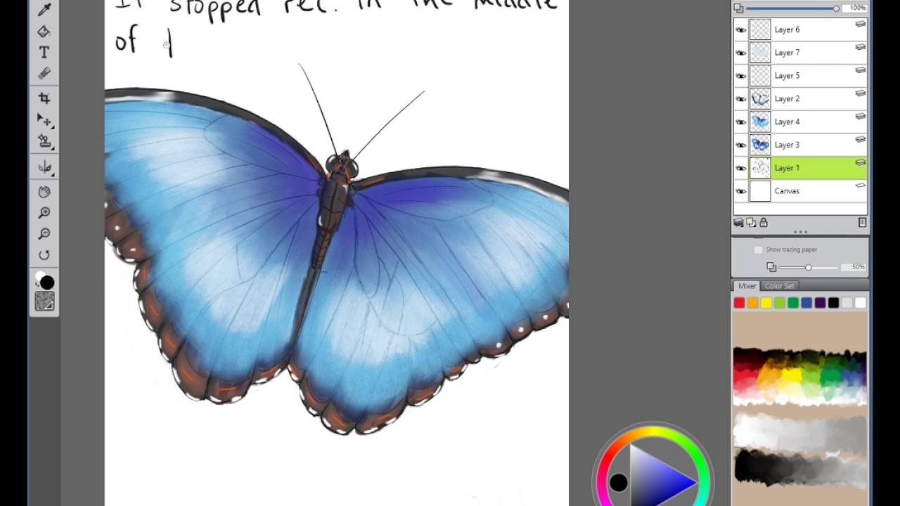 Speed Art-Corel Painter Essentials 5-Common Blue Morpho(color) - YouTube