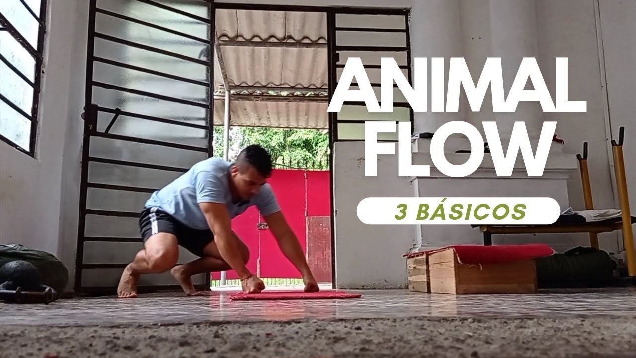 Mejora tu cuerpo con 3 posturas básicas de Animal Flow - YouTube