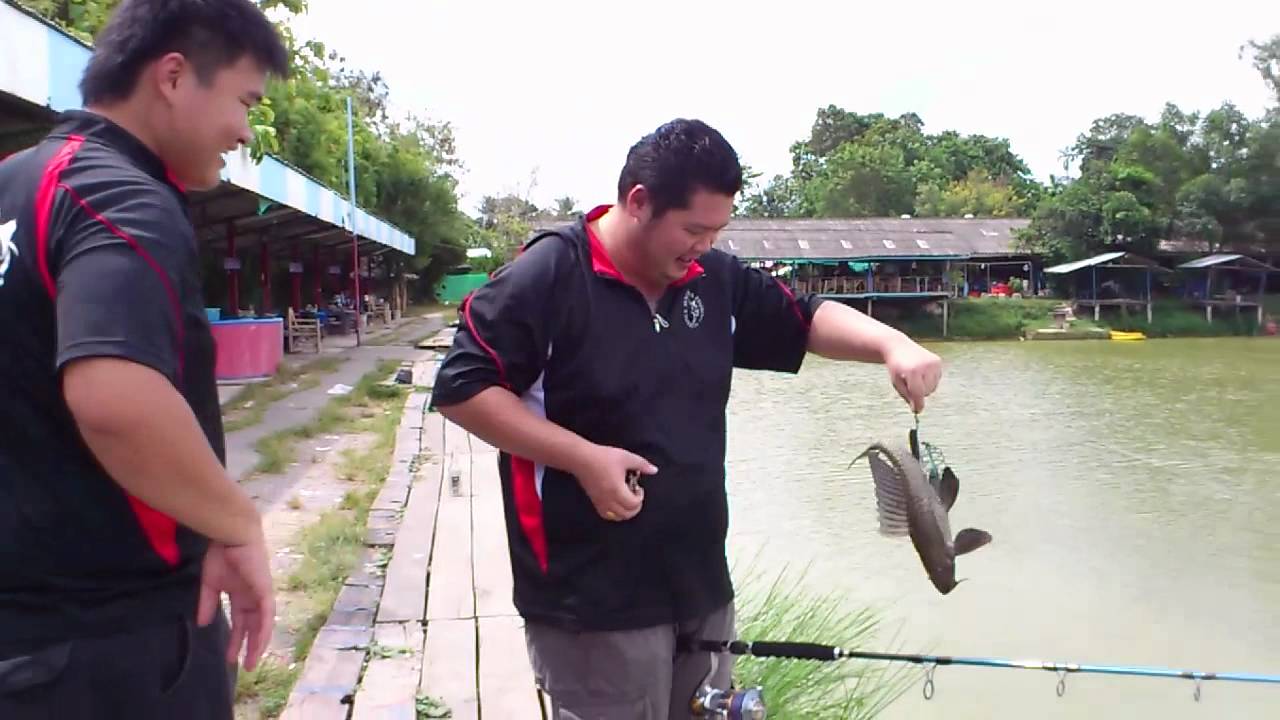 hatyai bandaraya fish fishing pond - YouTube
