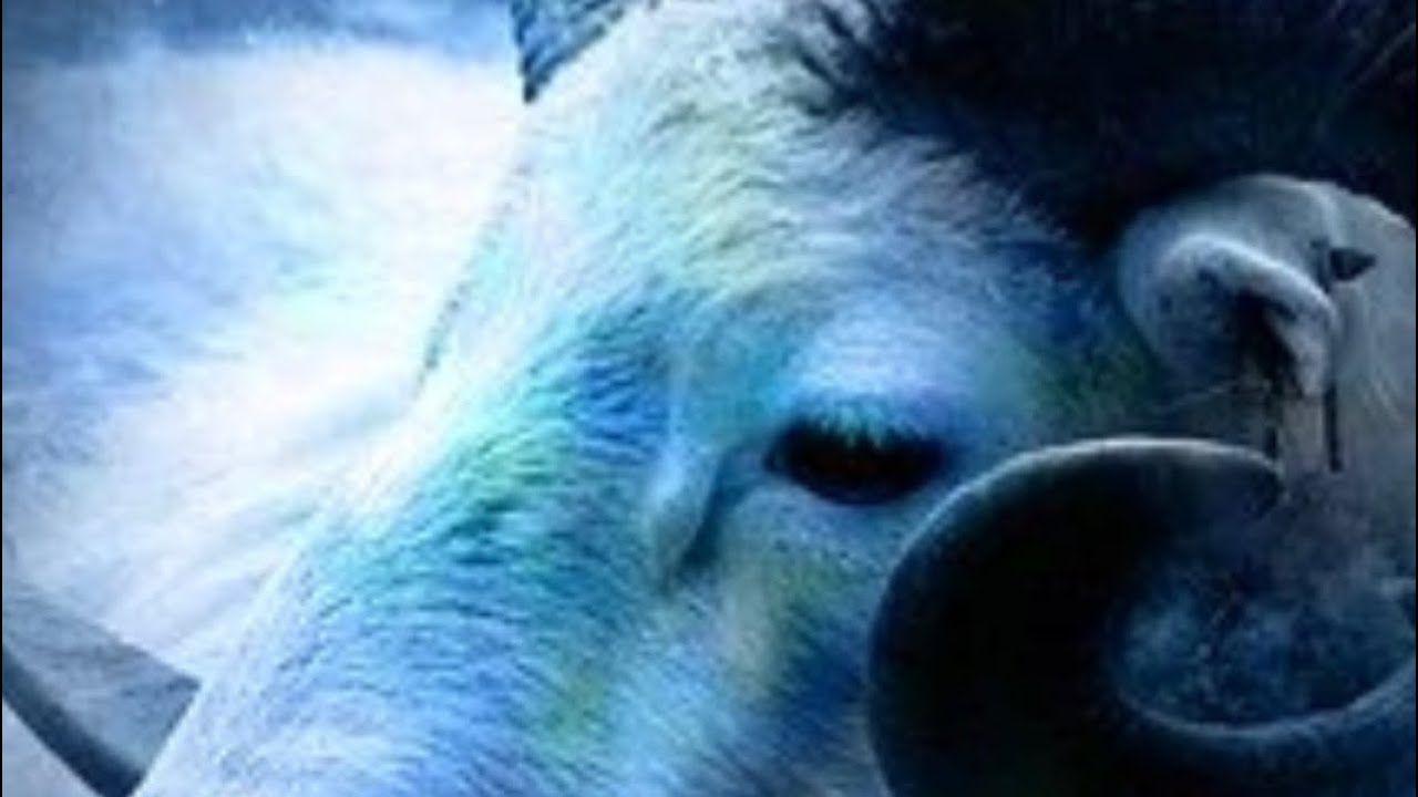 Stages of Aries - YouTube