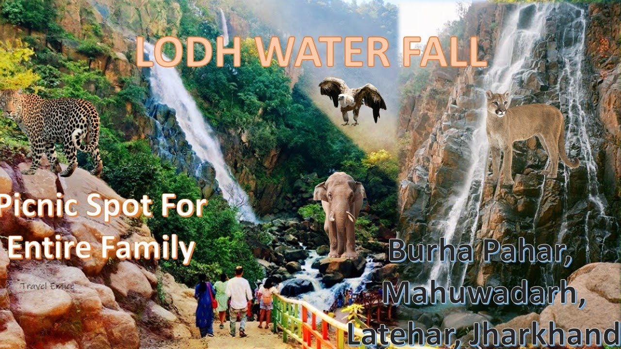 Lodh Water Fall Picnic Spot in Latehar Palamau Jharkhand - YouTube