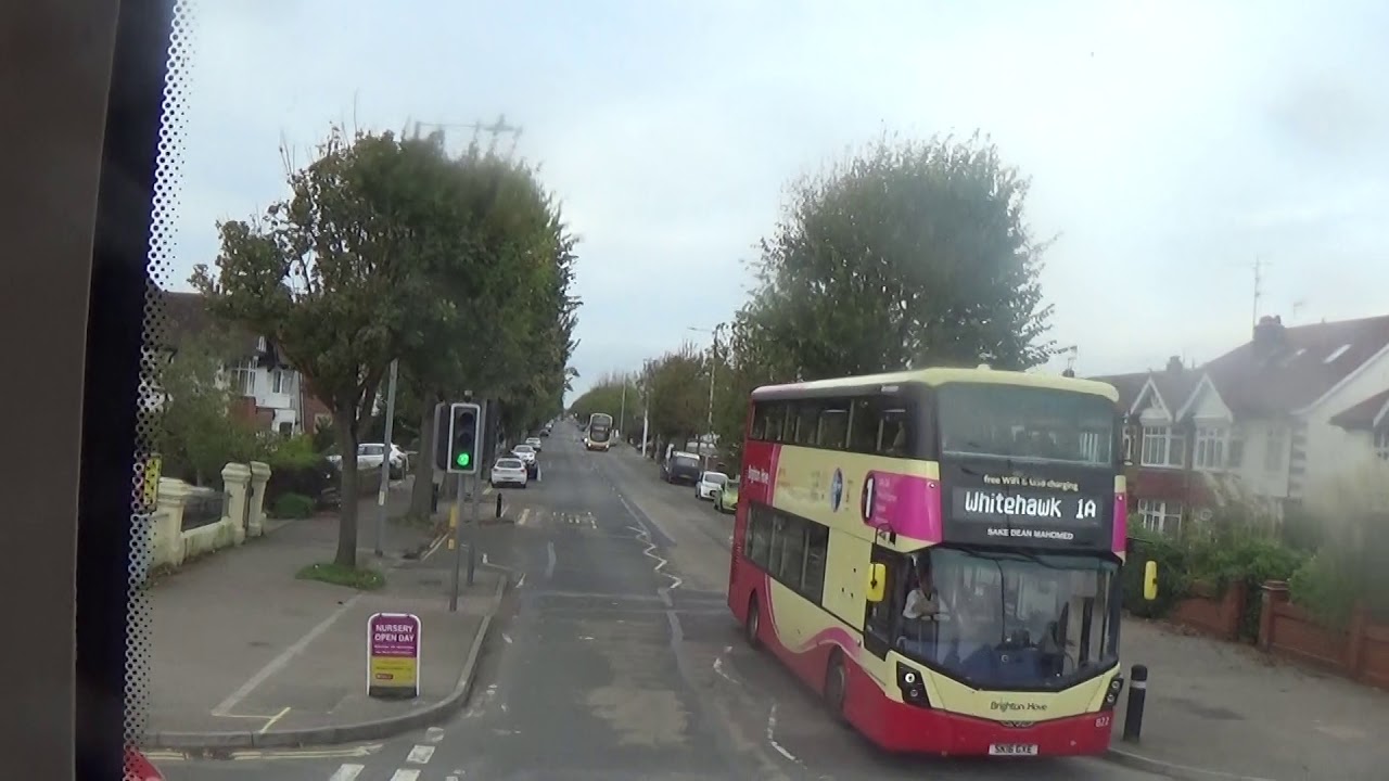 Foxy riding on Brighton and Hove bus route 6 in East Sussex, 29th ...