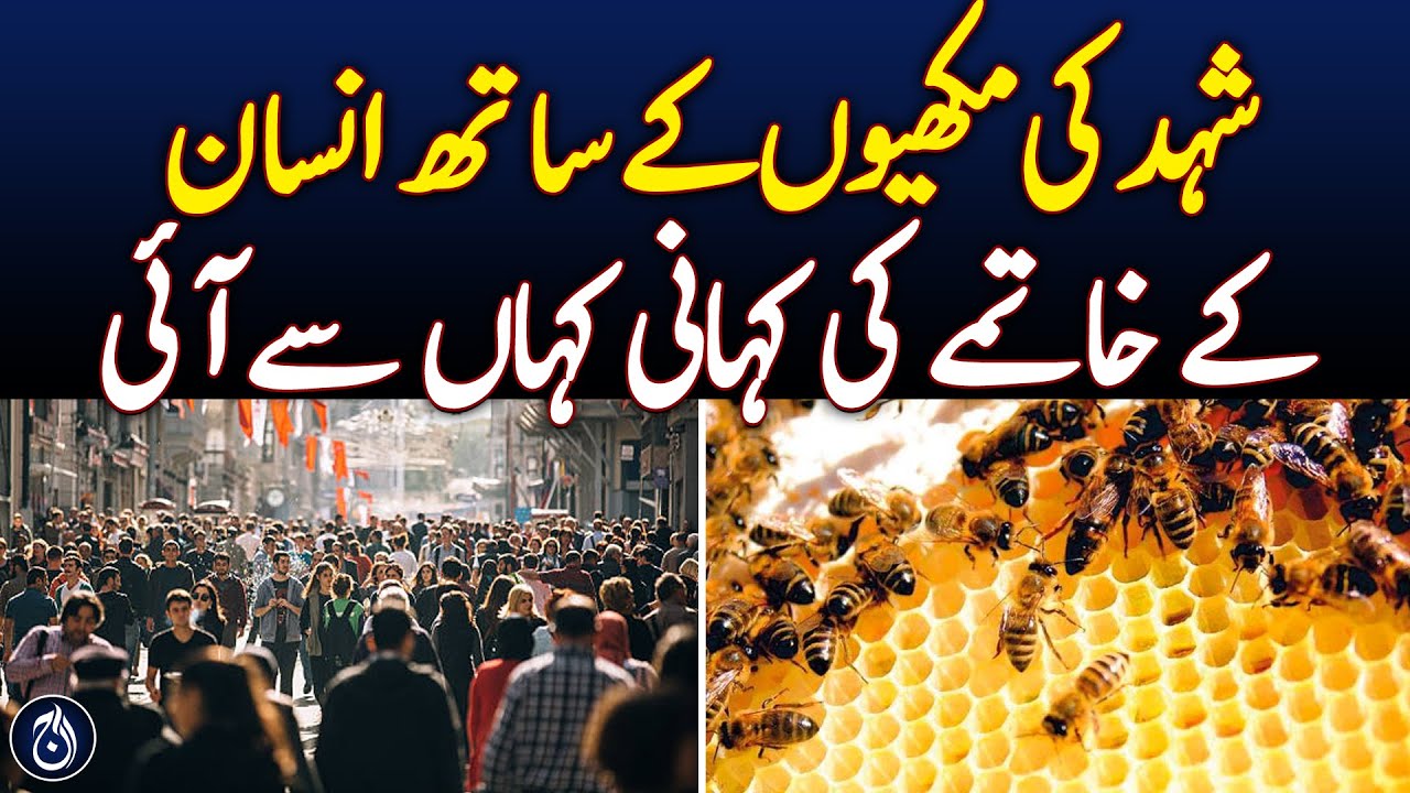Story behind myth about honeybees - Aaj News - Videos - Aaj English TV
