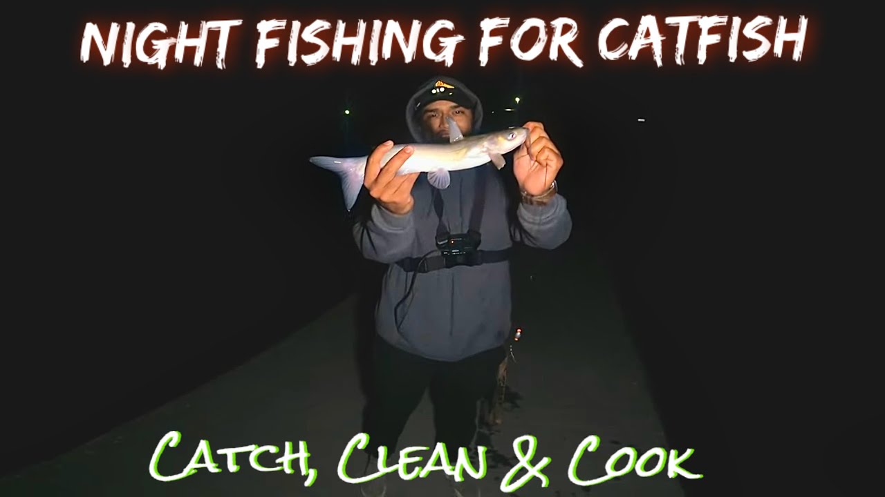 Night Fishing For CATFISH & Catch, Clean, Cook !!!! - YouTube