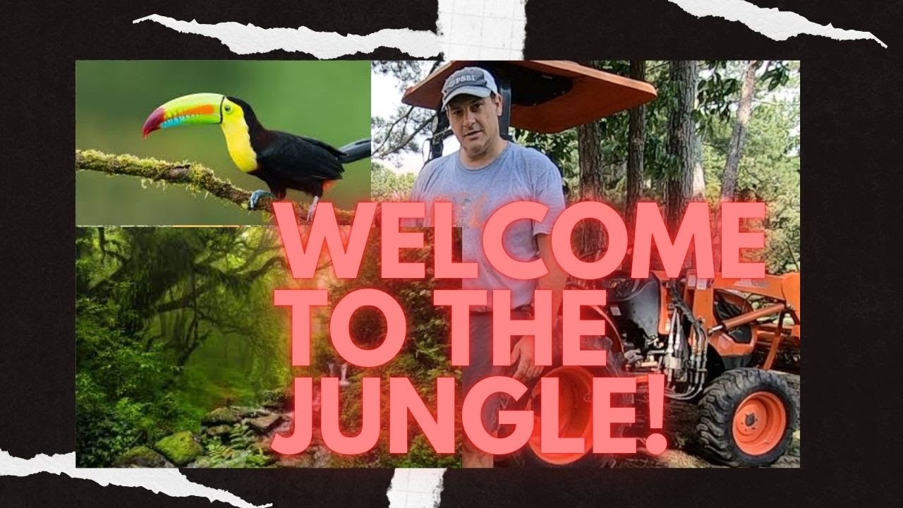 I bought a Jungle - Now it's Kioti Time - KOL 233 - YouTube