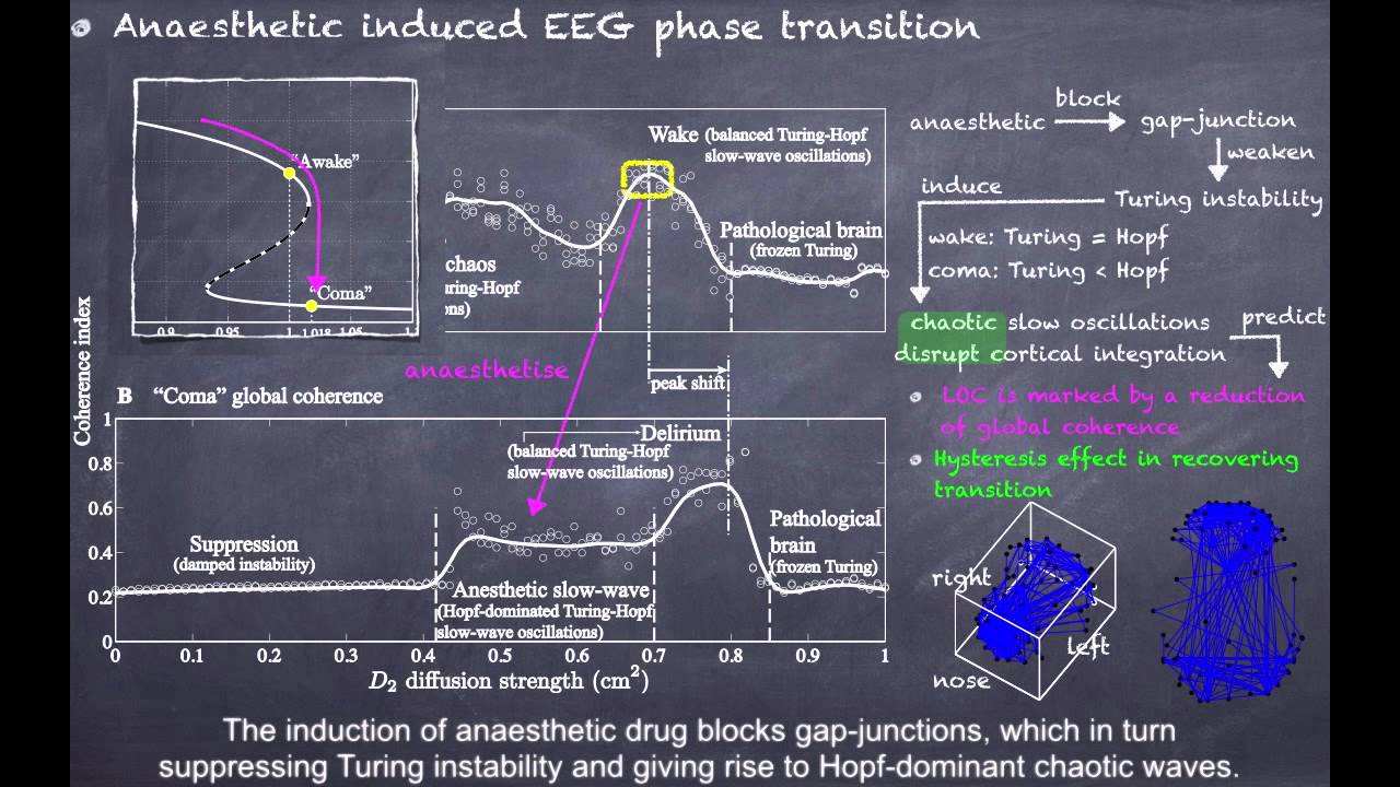 [Neuroscience - Cortical Modelling] EEG Phase Coherence - YouTube