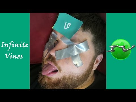 Best Instagram Videos February 2019 (Part 1) Funny Vines compilation - Infinite Vines