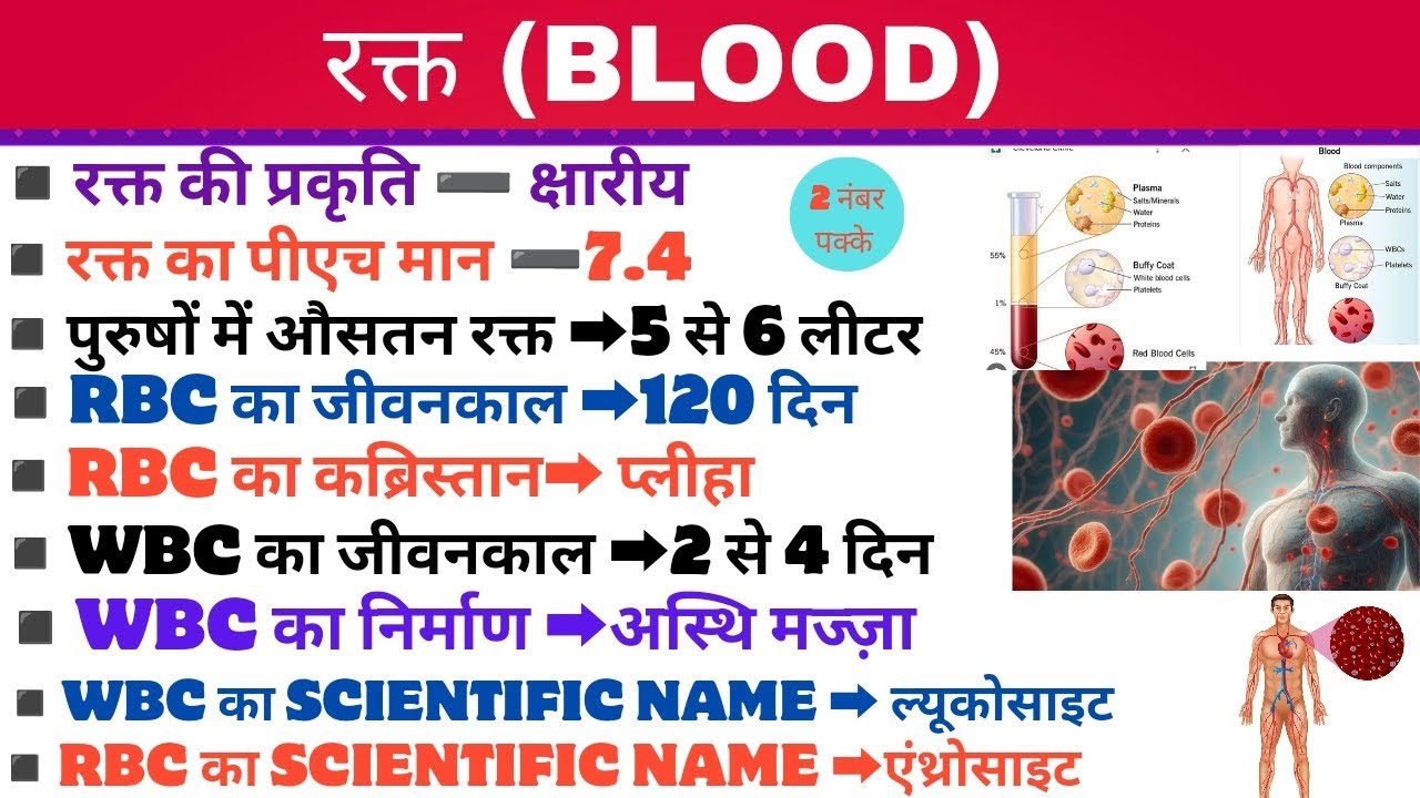 Human blood | रक्त | blood | RBC | WBC | PLATLATES | BIOLOGY | Blood Gk ...