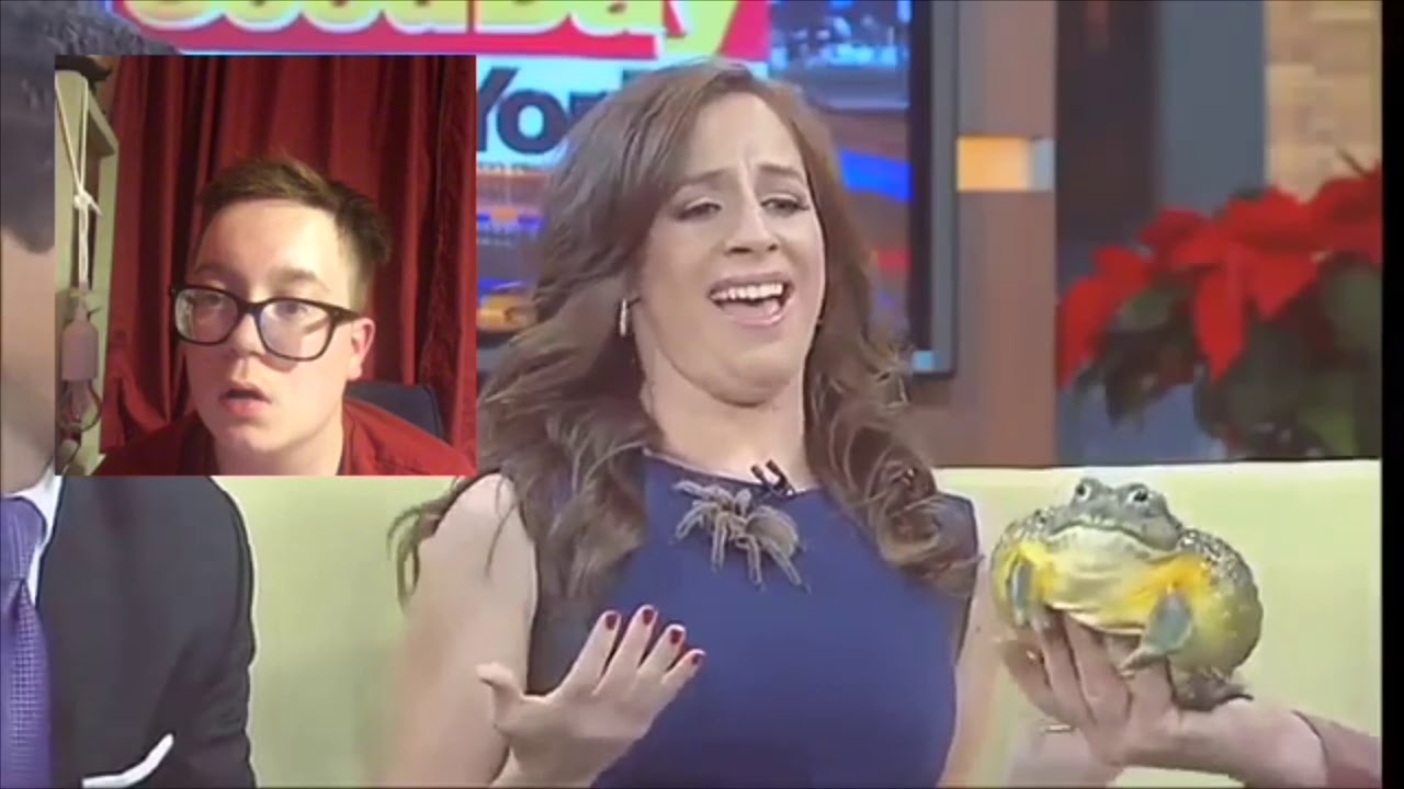 News Reporter Mistakes And Funny Moments - YouTube