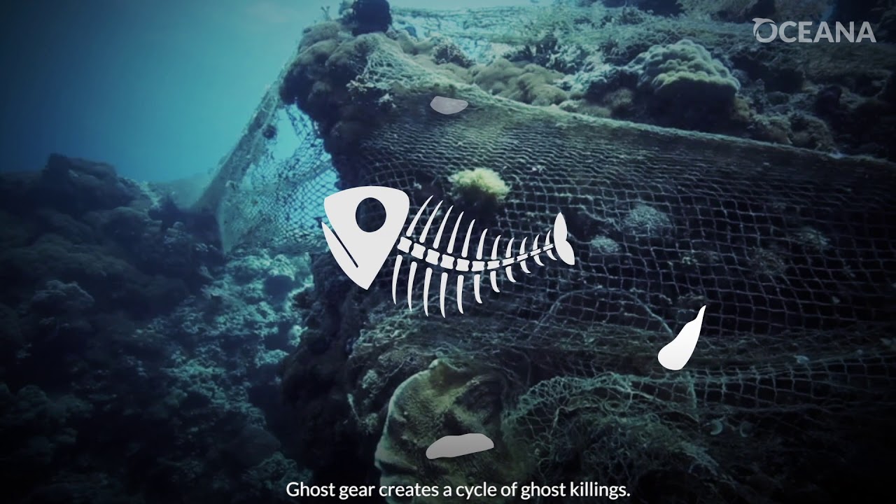Ghost Gear: One Of The Spookiest Things In The Sea - YouTube