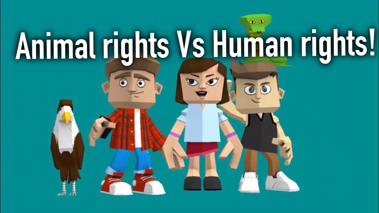 Animal Rights Vs Human Rights - A school project - YouTube