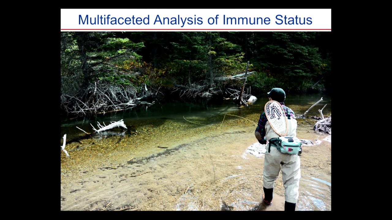 Predicting Who Does and Who Doesn’t Become Infected - Daniel Douek ...