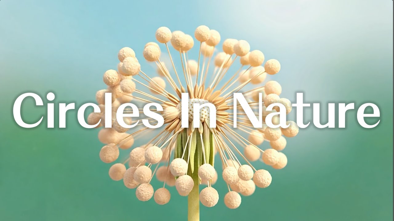 Circles In Nature | MABY | Object | Circle | Nature | English | - YouTube