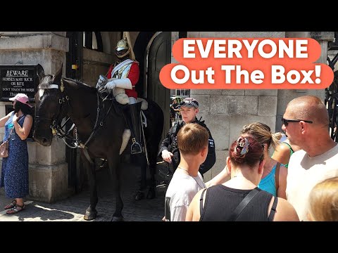 It's Too Hot Boss! King's Guard Horses REMOVED at Horse Guards