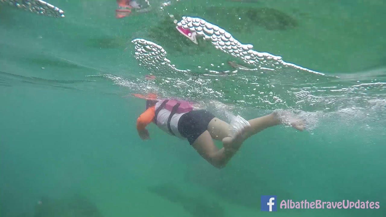 The Snorkeling Baby Shark with Alba the Brave - YouTube