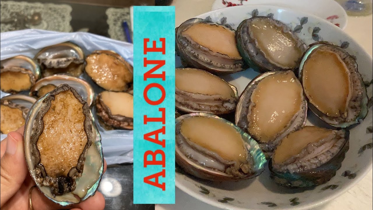 Cara membersihkan dan memasak ABALONE 🦪🌶🧄 - YouTube