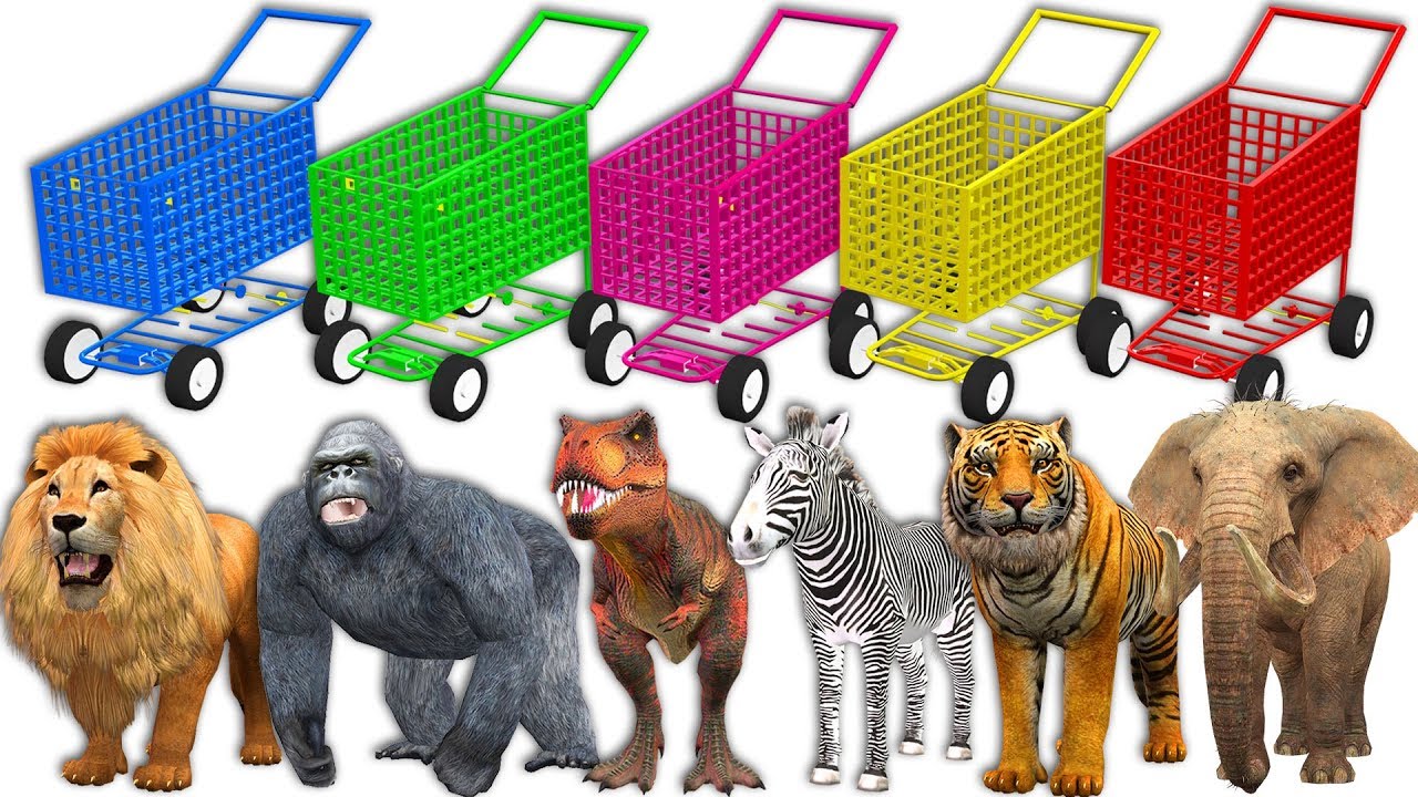Wild Animals Learn Colors With Shopping Cart - Animals Cartoon Finger ...