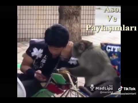 ASO VE PAYLAŞIMLARI