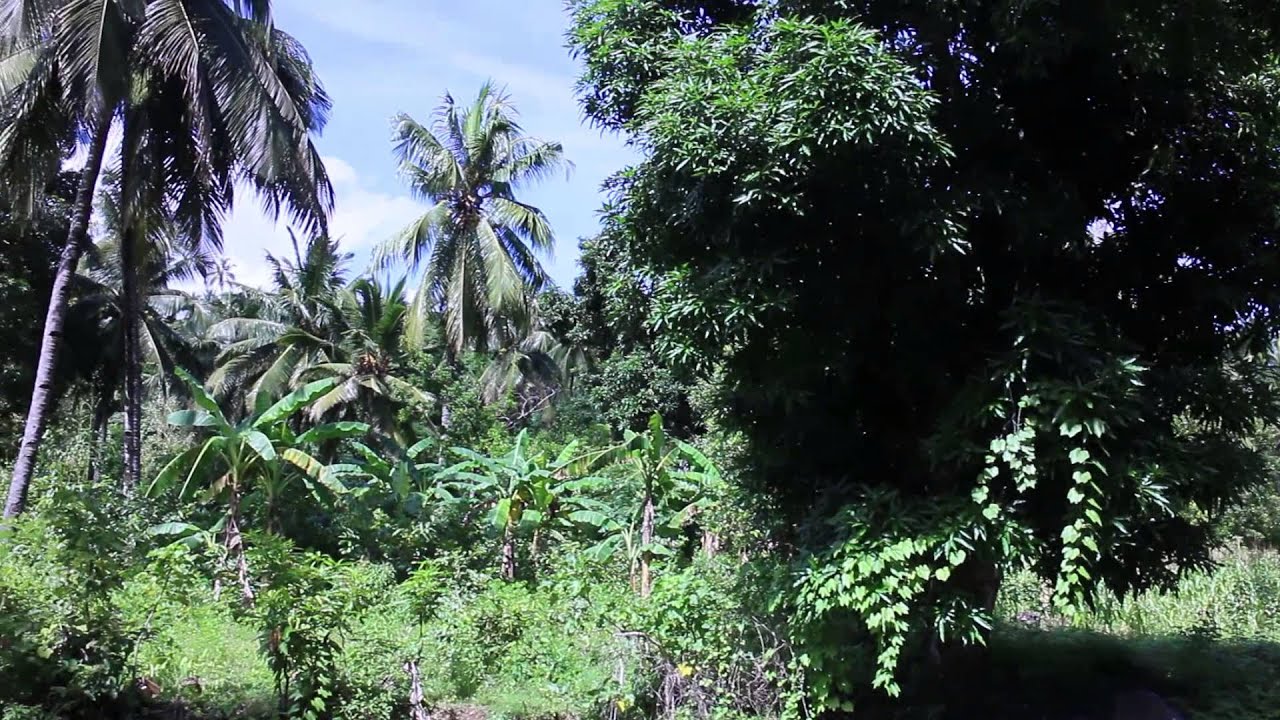 documentaire la ville de Ouani Anjouan - YouTube