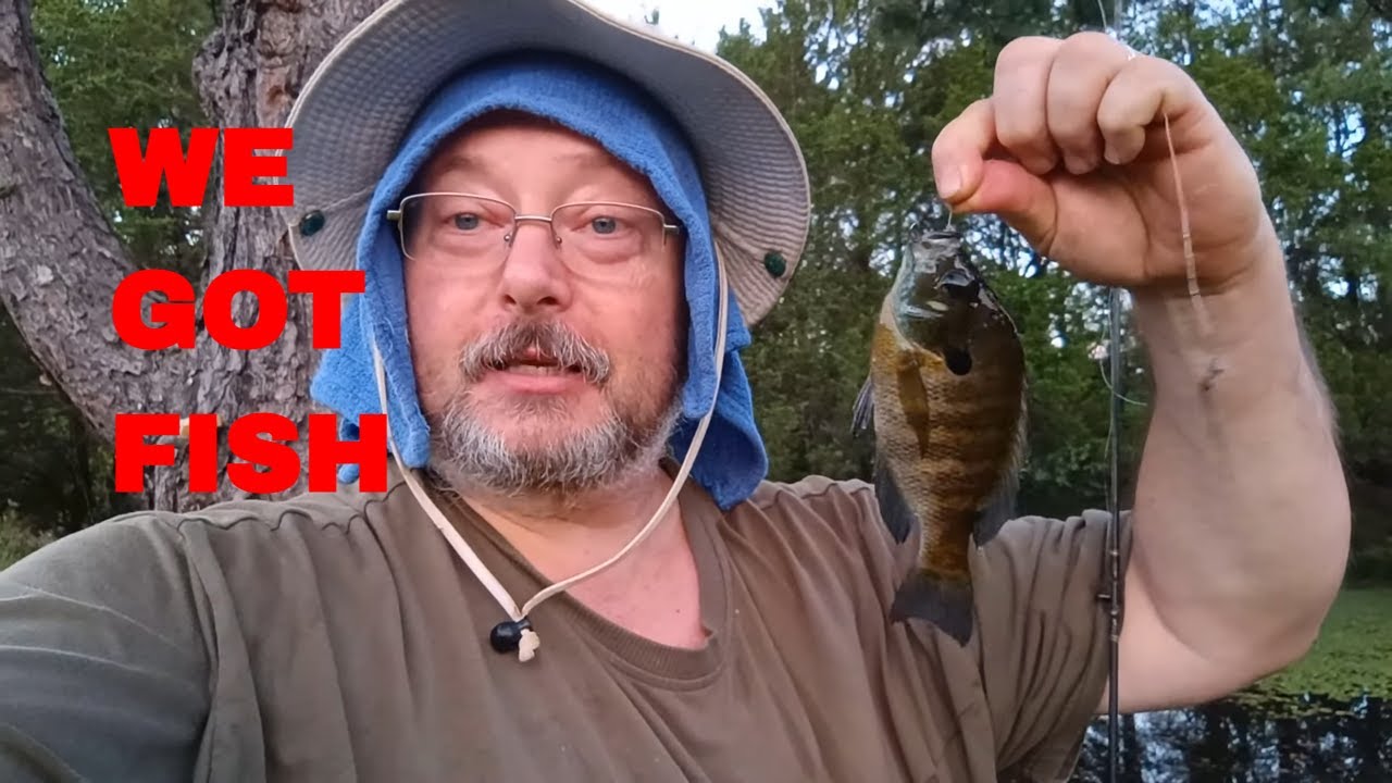 BIG Surprise While Fishing To Check The Progress Of The Stocked ...