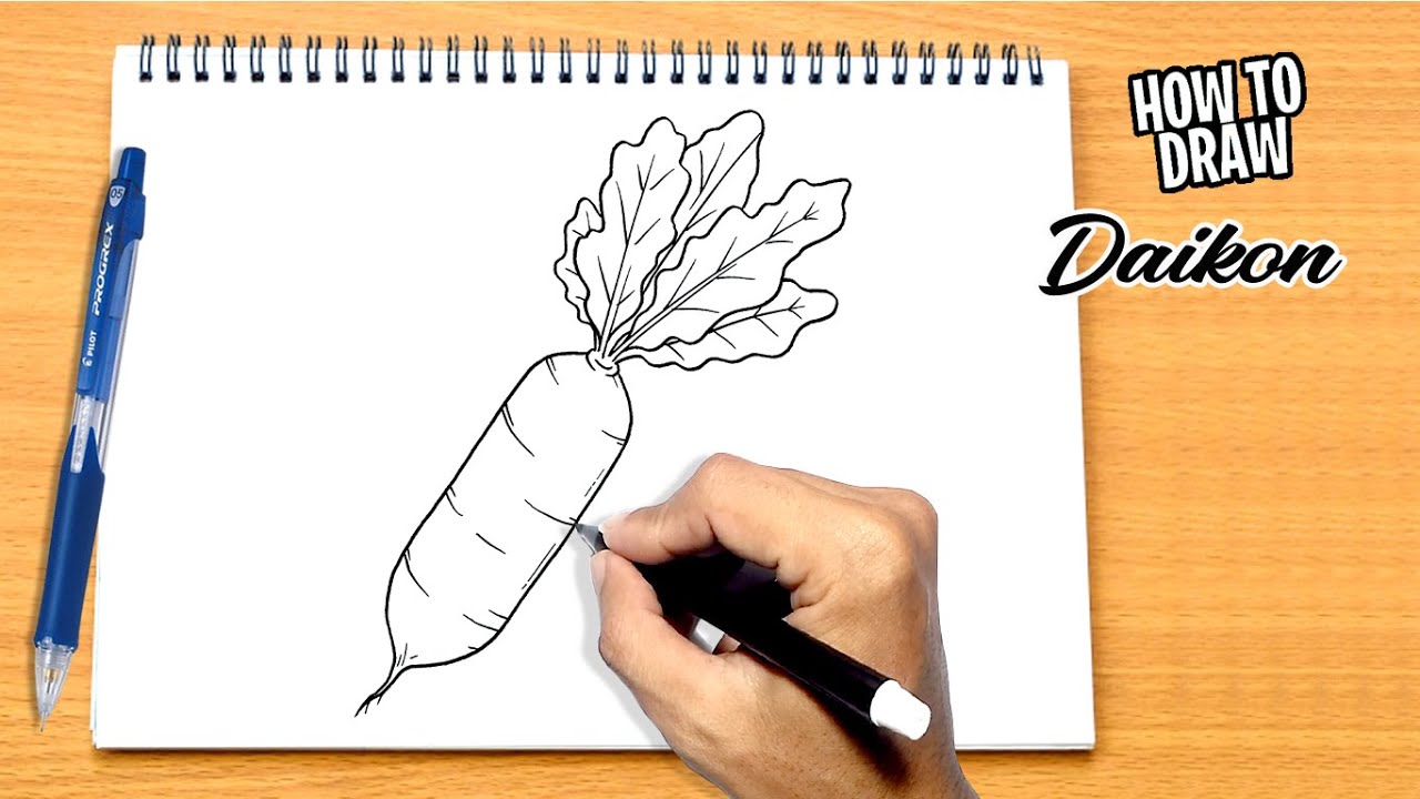 How to draw Radish - YouTube