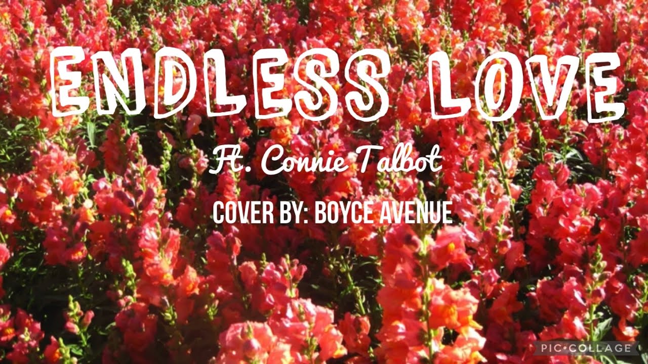 Endless Love|ft. Connie Talbot|Cover by: Boyce Avenue|Lyrics Video ...