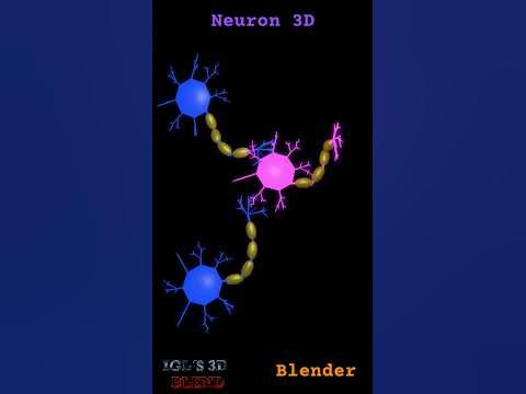 Neuronal synapsis #shorts #blender #neuron - YouTube